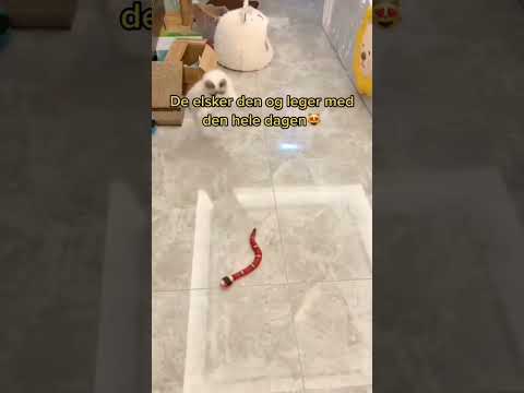 Vores kunder elsker vores legetøj til katte✔️ Du kan forkæle din kat på kattedepotet.dk i dag!😻