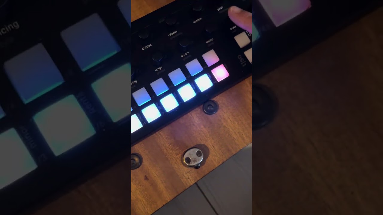 Sequence the 1010 Blackbox with Torso T1