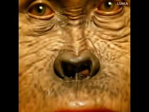 Steam Community :: Video :: Monke