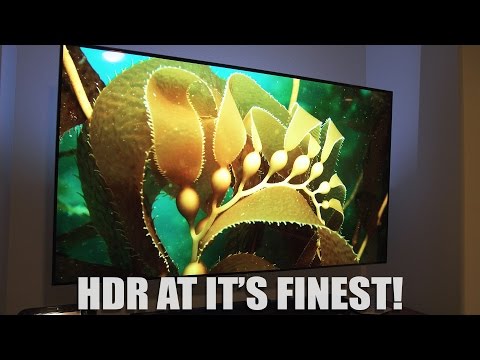 Let's take a look at LGs 65" B6 OLED HDR 4K TV!