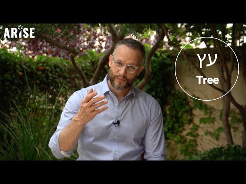 Hebrew Explained | עץ | Tree