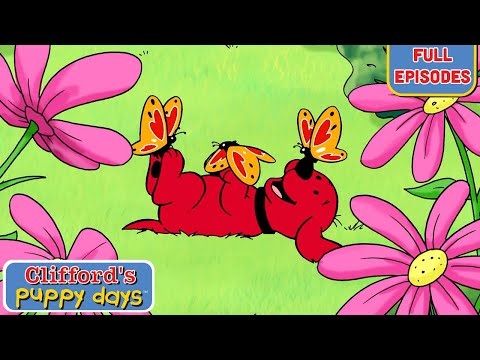 Lights, Camera, Action + More! | Full Episodes | Clifford's Puppy Days