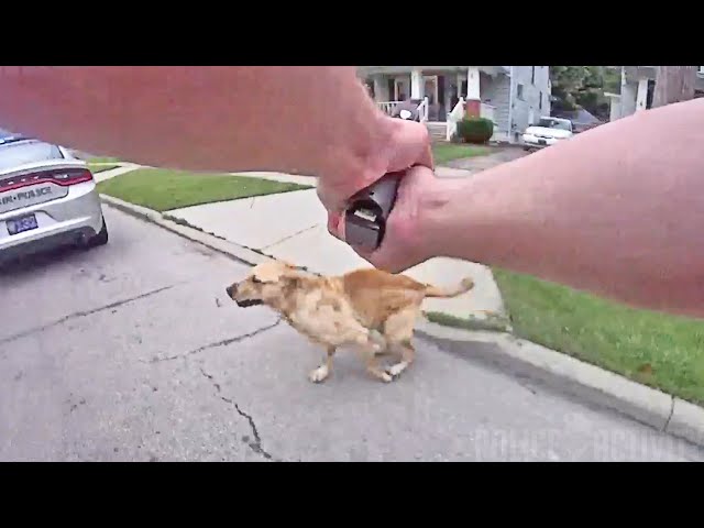 Elliott Palmer petition amasses over 16,590 signatures after cop ...