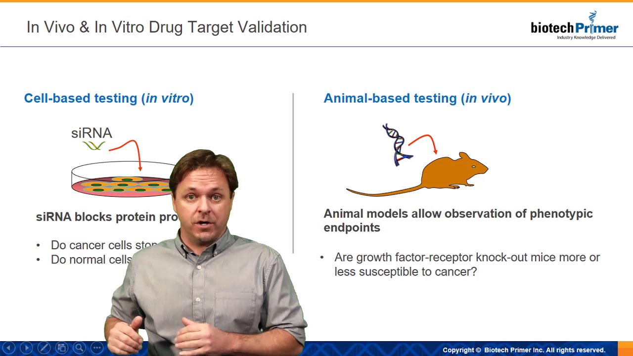 In vivo vs. in vitro drug development