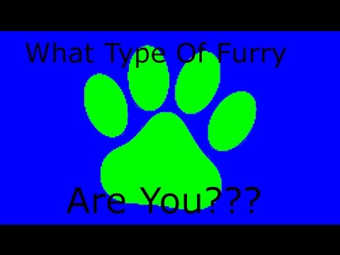 What Type Of Furry Are You?| Internet Quizzes