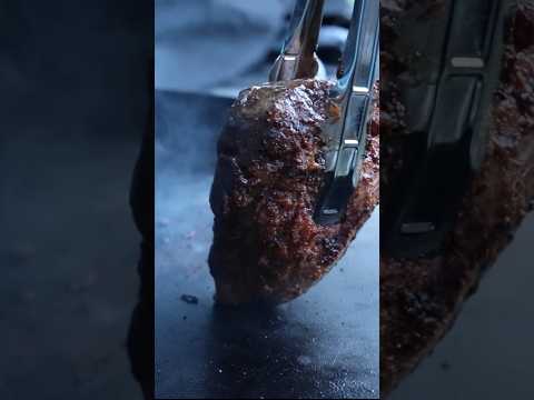THE MEAT SWEATS #shorts #carnivore #dog