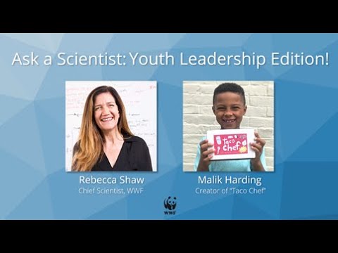 Photos & Videos | WWF