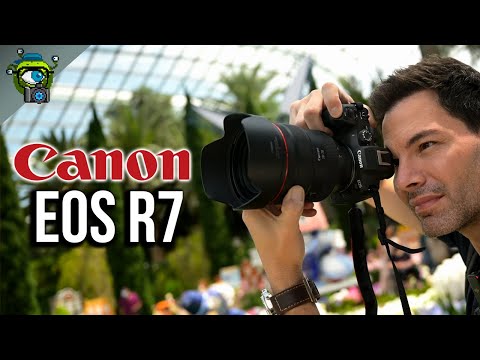 Canon EOS R7: Great image quality (5137C002)