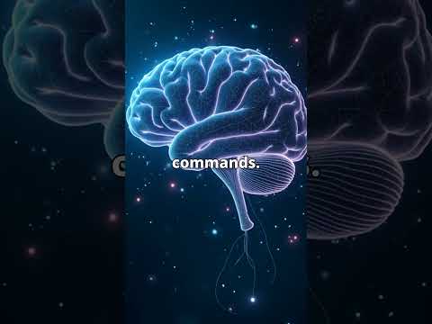 Coming Soon: OpenAI’s Mind-Blowing AI Browser Powered by Operator