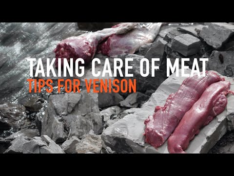 TAKING CARE OF GAME MEAT, TIPS FOR VENISON COOKING