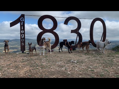 Damos comienzo a la temporada 22/23 – CDI MusCoVa