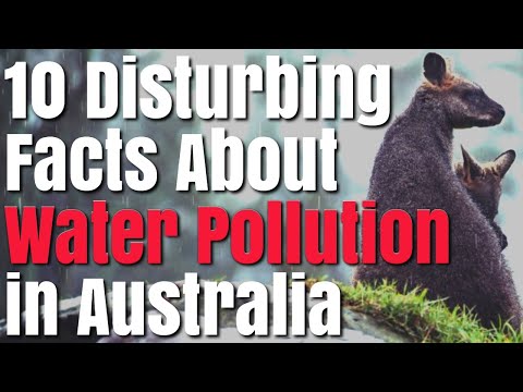 10 Disturbing Facts About Water Pollution in Australia