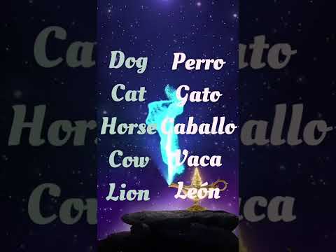 Learn Spanish words with me.
