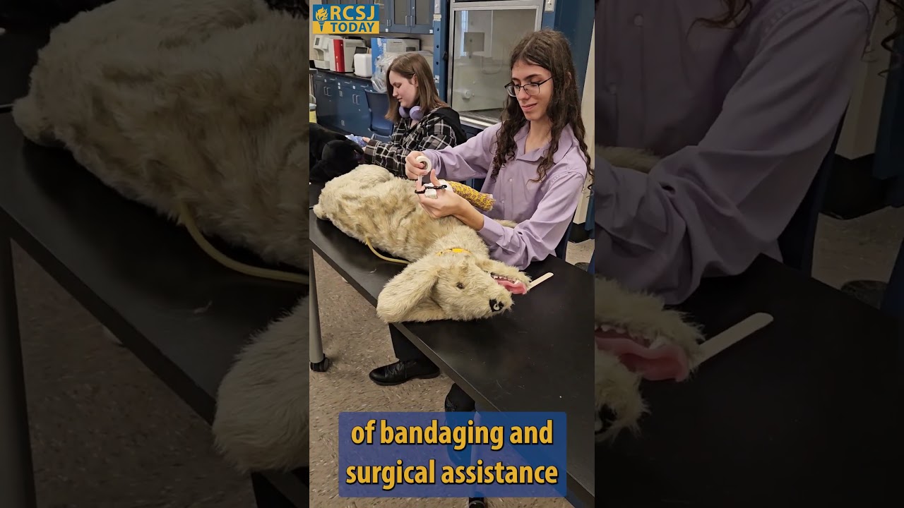 RCSJ Showcases STEM at Discovery Day  #RCSJ #STEM