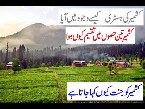 History Of Kashmir | POK | IOK | COK | Documentary in Hindi And Urdu | The Times Of Kashmir |