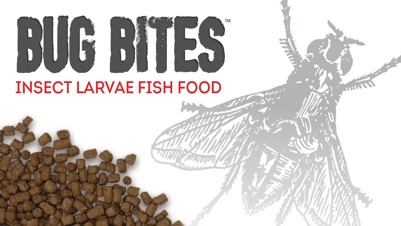 Bug Bites Tropical Micro Granules, 1.6 oz / 45 g - Fluval USA