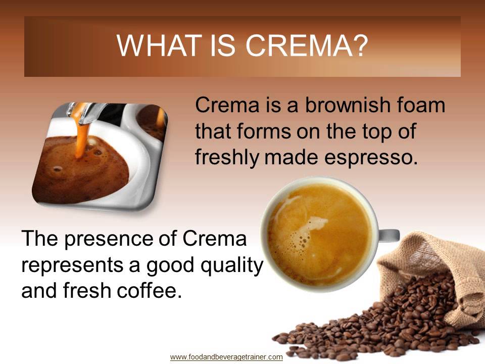 Coffee - Basic Introduction