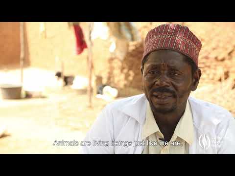 Healthy animals mean happiness in rural Niger