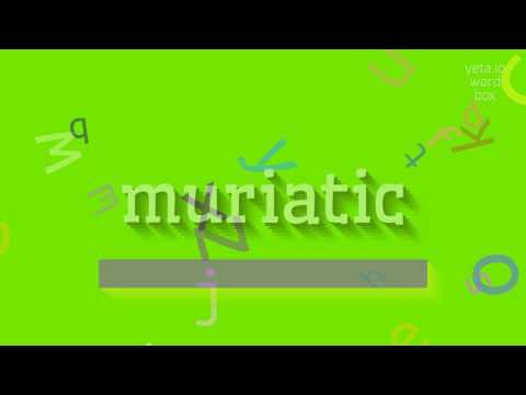 How to say "muriatic"! (High Quality Voices)