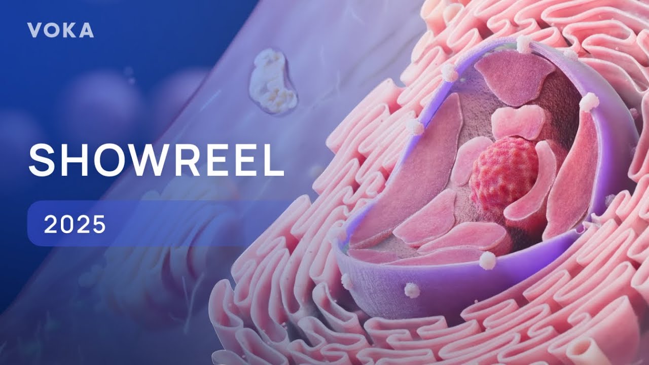 The Beauty of Human Anatomy in 3D | VOKA Medical Visualizations