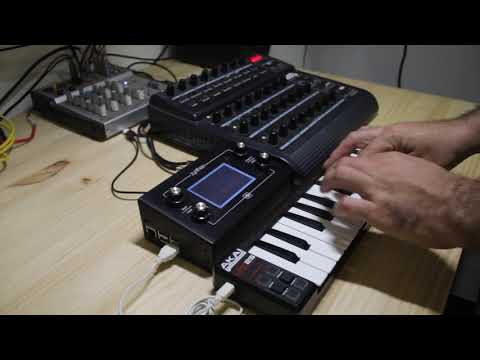 Zynthian Raspberry Pi Synthesizer | Reverb