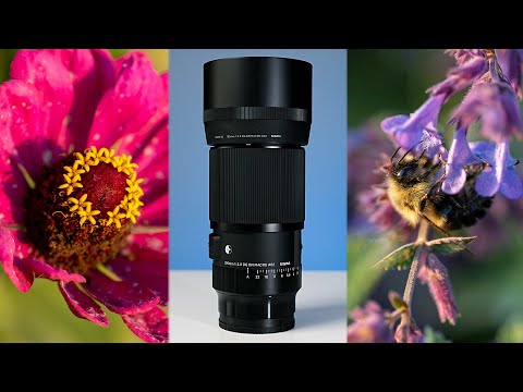 Sigma 105mm f/2.8 DG DN Art: Awesome macro lens (260965)