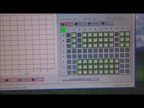 BioRad IQ5 Real time PCR System