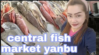 10 Things to Do in Yanbu Fish Market, Yanbu Saudi Arabia | Gems.Travel