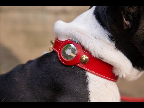 AirTag Edition Dog Collar by Florenze