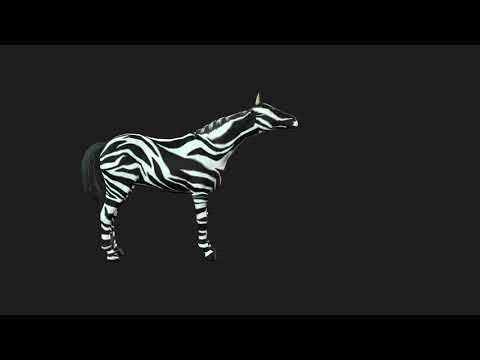 Zebra Animal 3d model fully rigged download