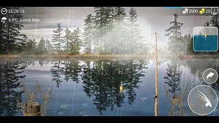10 Games Like My Fishing World – Realistic Fishing – Games Like