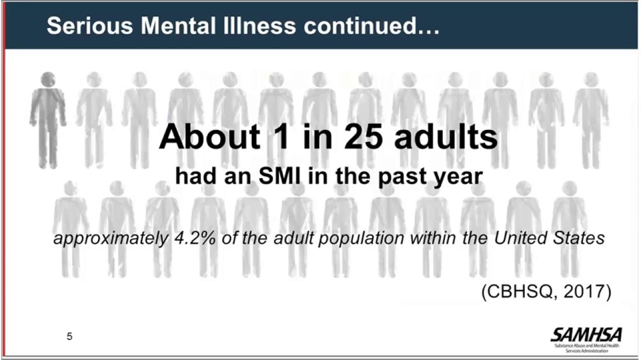 Supporting Individuals with Serious Mental Illness in the Workplace