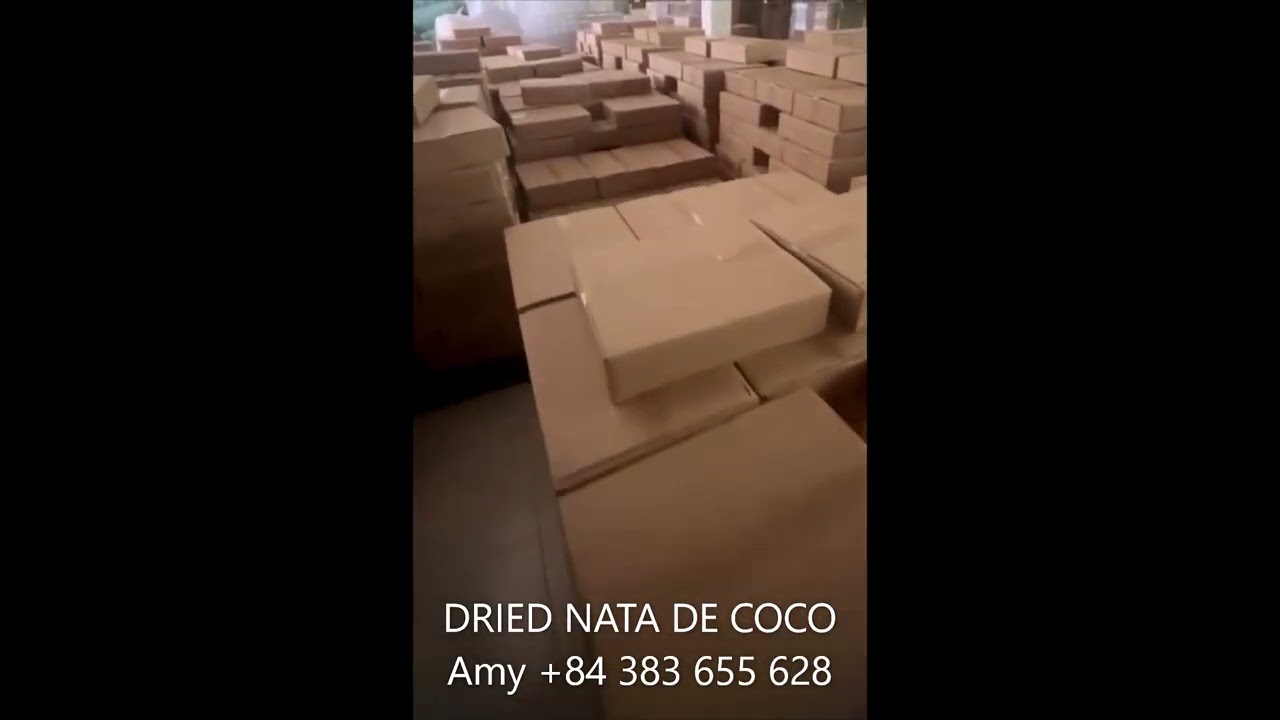 BEST QUALITY NATA DE COCO/ COCONUT JELLY FROM VIETNAM.