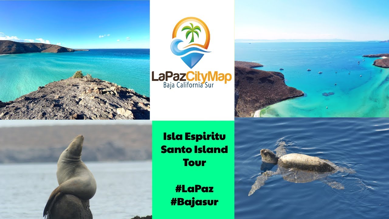 Discover the Hidden Wonders of Isla Espiritu Santo | La Paz City Map