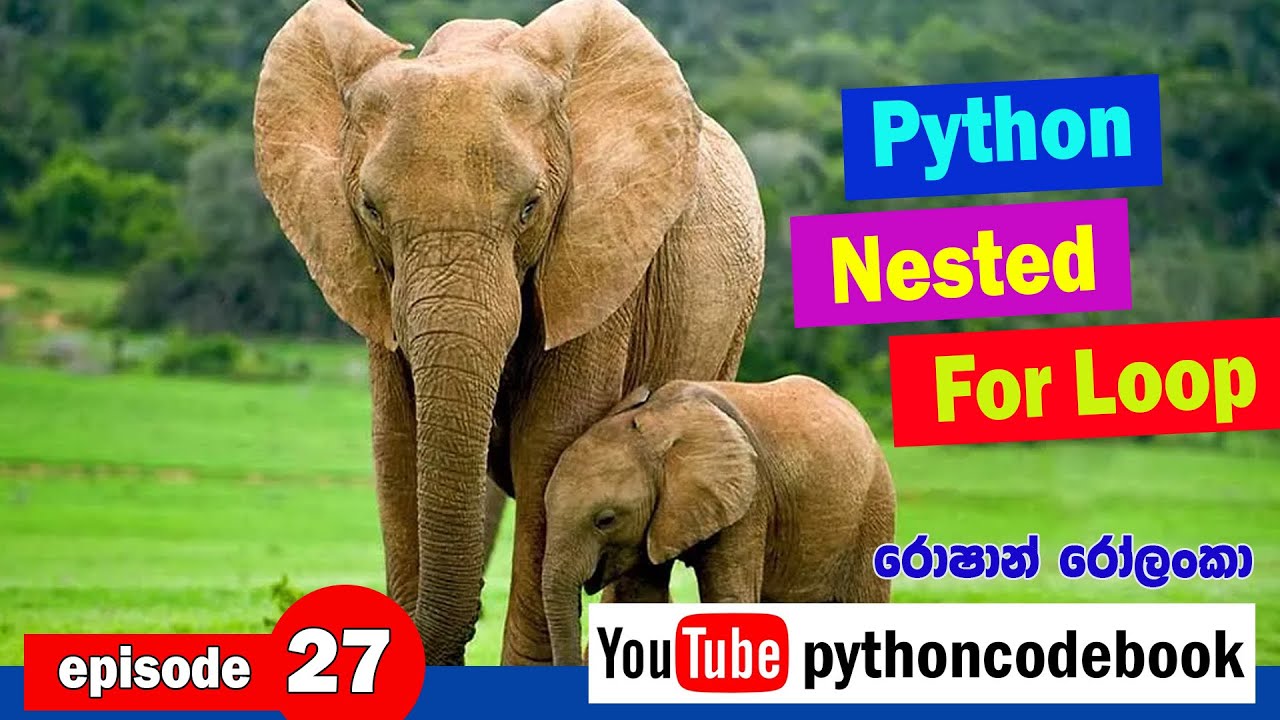Episode 27 - Python Nested For Loop (Sinhala)