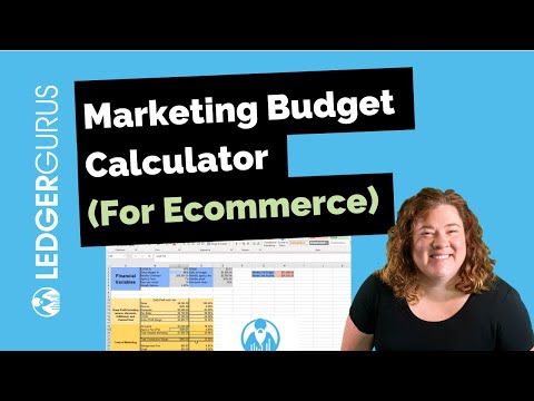 Ecommerce Marketing Budget Calculator | CAC | ROAS | And More