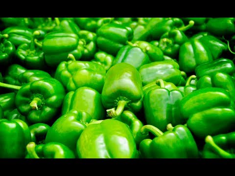 5 Incredible Health Benefits Of Green Peppers