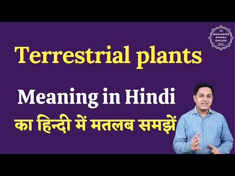 Terrestrial plants meaning in Hindi | Terrestrial plants ka matlab kya hota hai | English to hindi