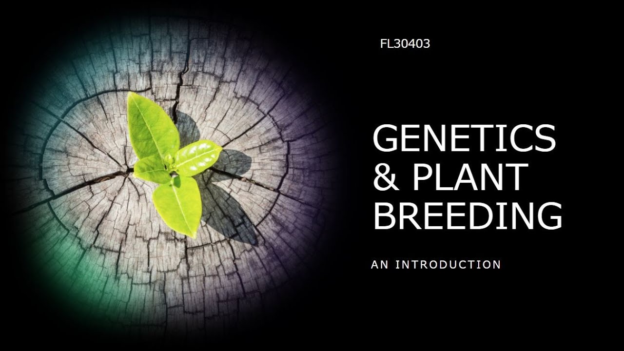 FL30403: Plant breeding and genetics: lecture 1