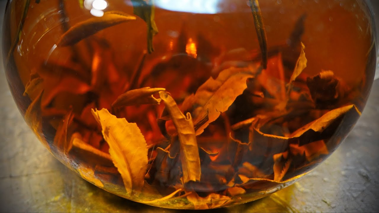 White tea Yue Guang Bai White Moonlight.