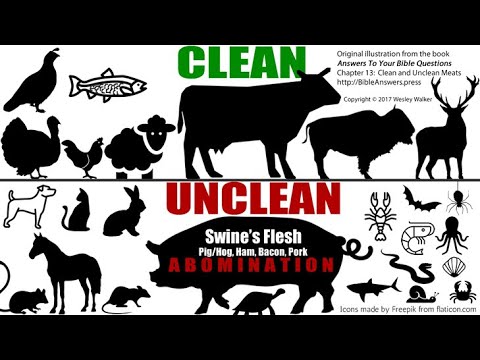 Clean And Unclean Animals Chart : Top Picked from our Experts