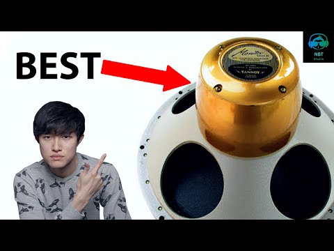 Vintage HiFi speaker drivers like THIS was the BEST for a reason