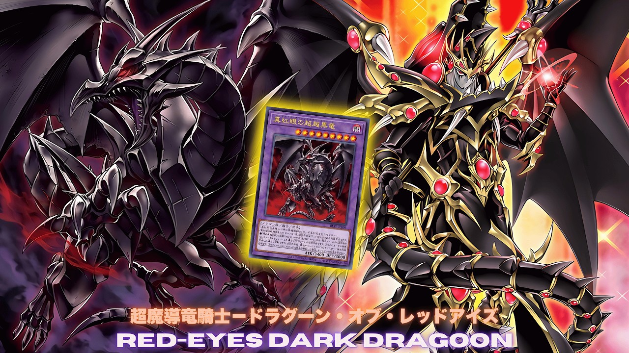 Red-Eyes Dark Dragoon Is Insane in Dark Time Wizard ! Red-Eyes Black Dragon Exceed DECK NEW - YUGIOH
