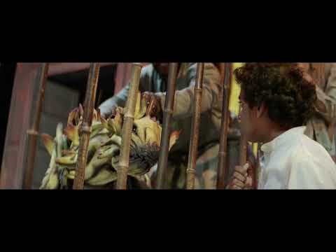 Life of Pi | Hyena