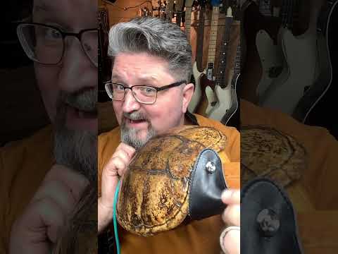 Turtle shell 4 string fretless slide guitar | Reverb