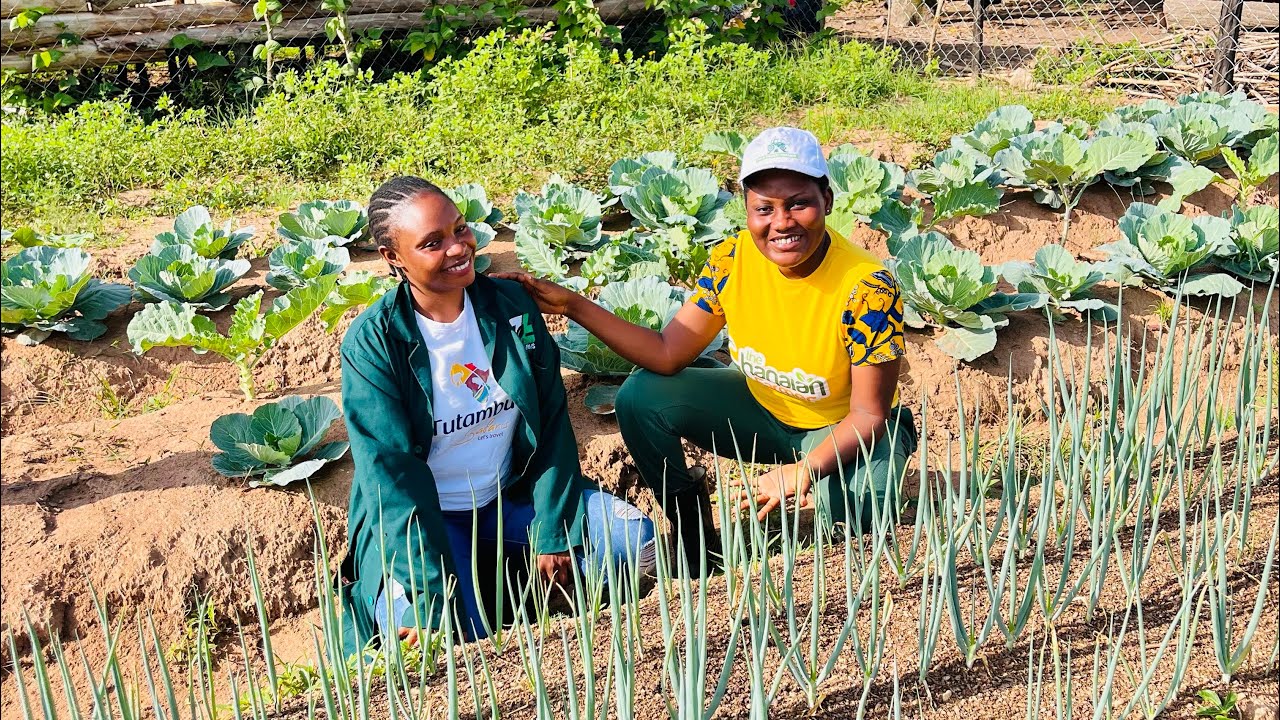 Knowledge Share – Kampala Chartered Certified Accountants Cooperative ...