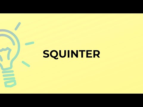 What is the meaning of the word SQUINTER?