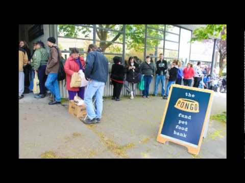 The Pongo Fund Pet Food Bank GROW Grant | Advantis Credit Union