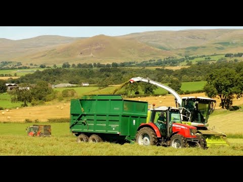 Silaging with Nearly New Claas 940 and Masseys. Sneak Peek at the MergeMaxx. Incomparable Views!!