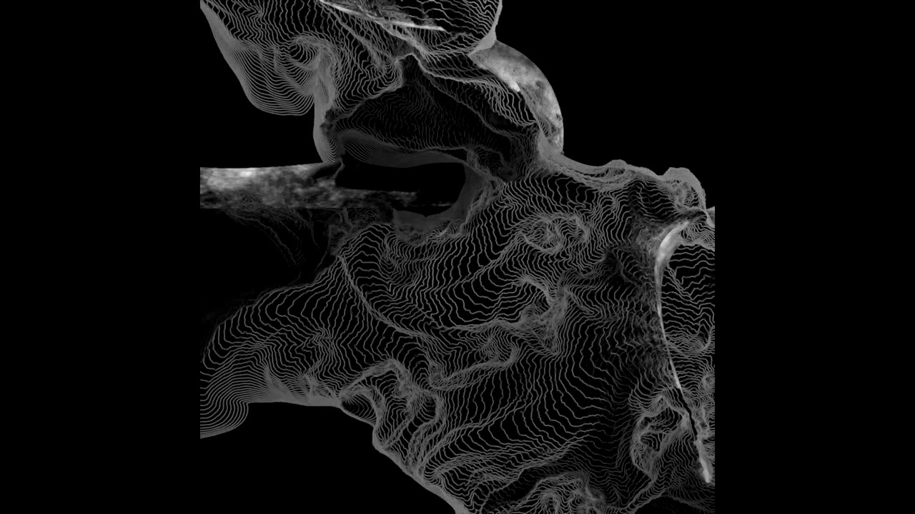 Generative Topographical Style Visuals - Touch Designer